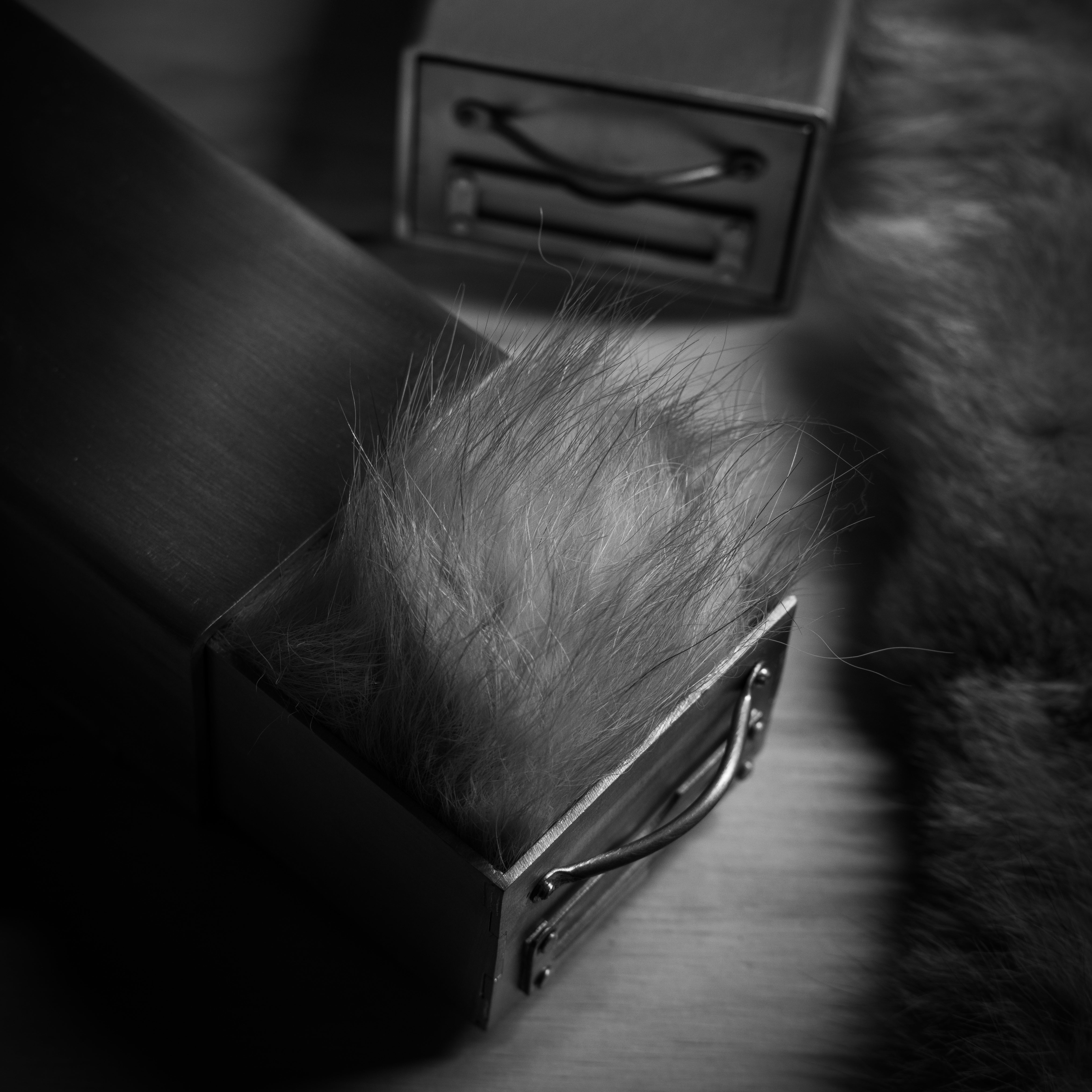 SPECIAL PROJECT – Impossible Watch Company